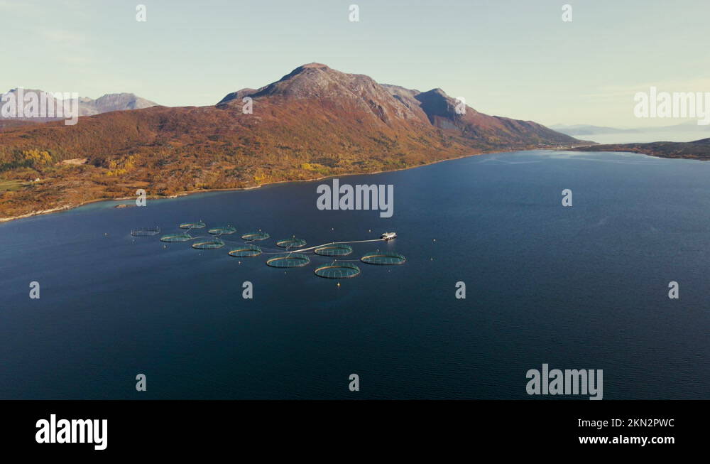Fish farming pens Stock Videos & Footage - HD and 4K Video Clips - Alamy