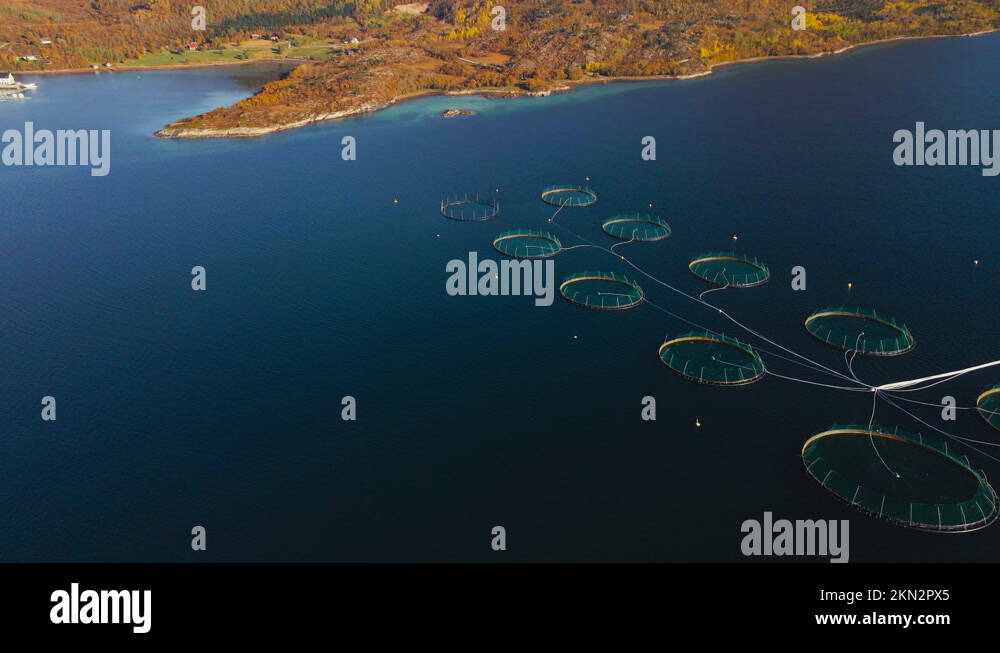 Arctic farming Stock Videos & Footage - HD and 4K Video Clips - Alamy