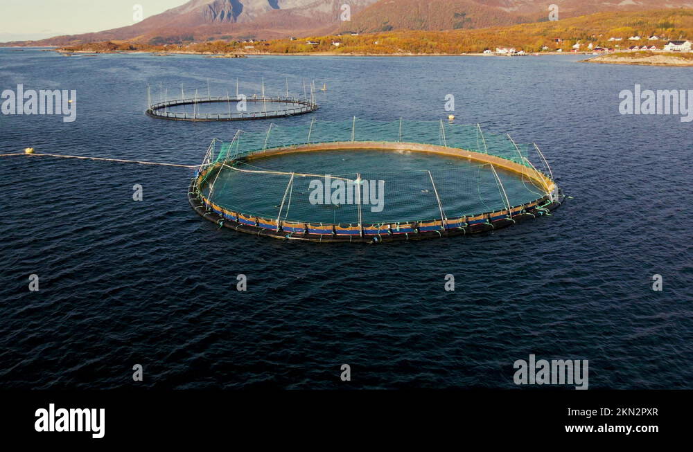 Salmon farming in the arctic circle - round marine pens; drone dolly ...