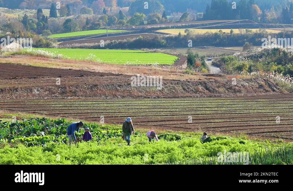 Farmer family at work Stock Video Footage - Alamy