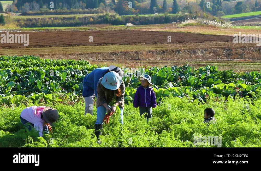 Farmer family at work Stock Video Footage - Alamy