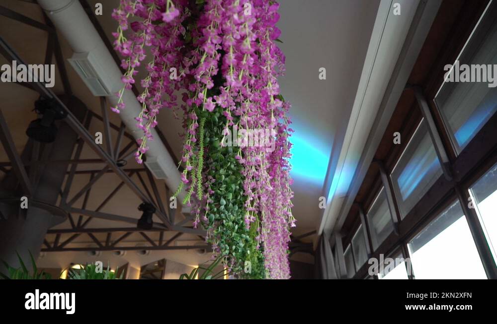 Hanging flowers ceiling Stock Videos & Footage - HD and 4K Video Clips ...