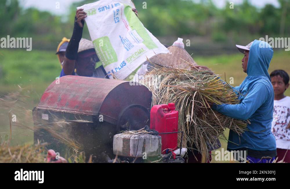 Man carrying rice Stock Videos & Footage - HD and 4K Video Clips - Alamy
