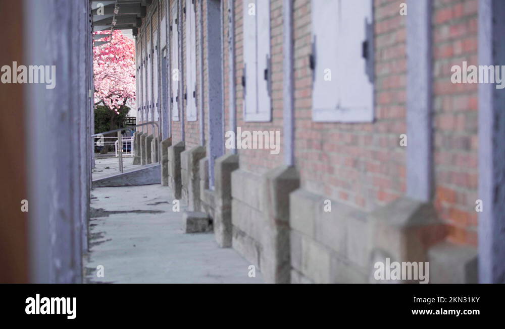 Kiyoshi Stock Videos & Footage - HD and 4K Video Clips - Alamy