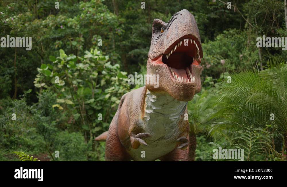 Dinosaur ceratosaurus Stock Videos & Footage - HD and 4K Video Clips ...