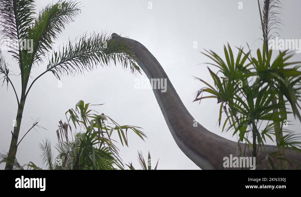 Plant eating dinosaurs Stock Videos & Footage - HD and 4K Video Clips - Alamy
