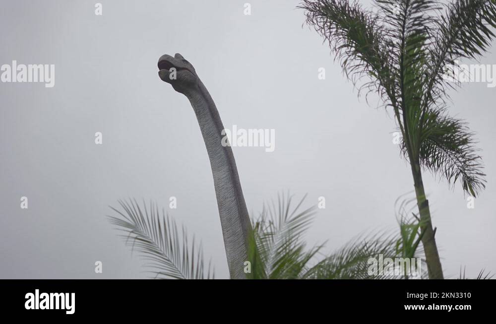 Brachiosaurus fossil Stock Videos & Footage - HD and 4K Video Clips - Alamy