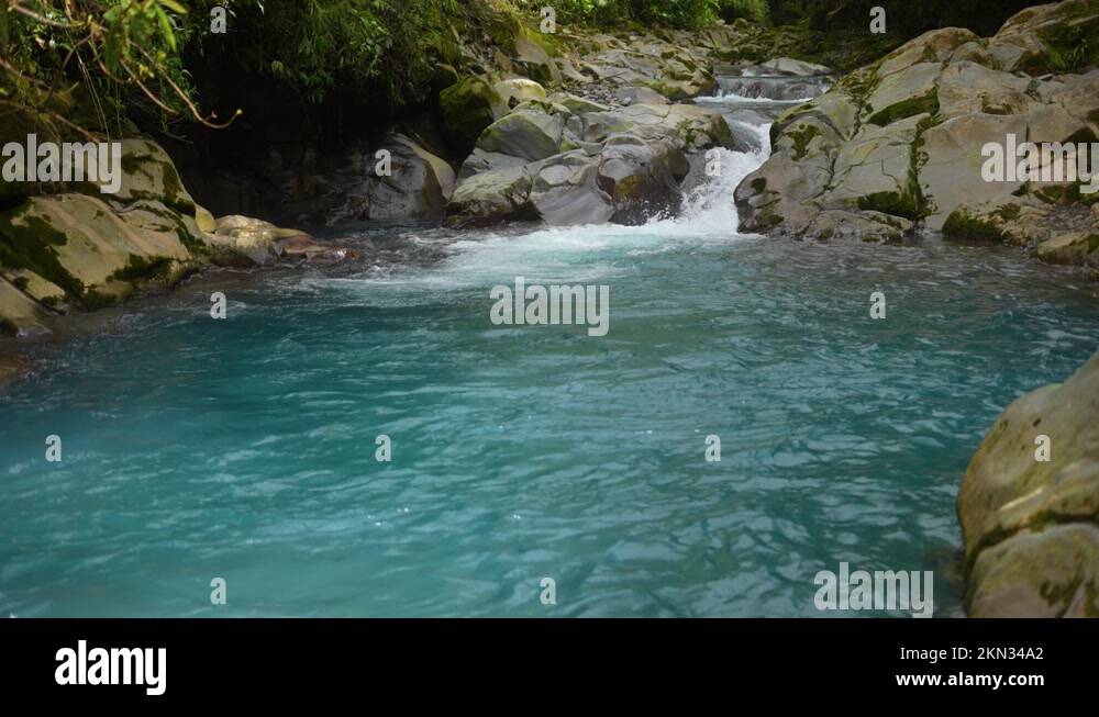 river with crystal clear water running between rocks in the rainforest ...