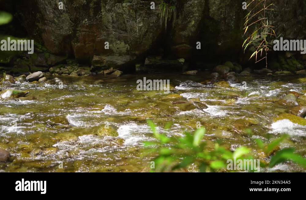 Costa rica water river costa rica cloud forest Stock Videos & Footage ...