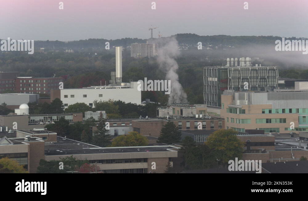 Visual pollution Stock Videos & Footage - HD and 4K Video Clips - Alamy