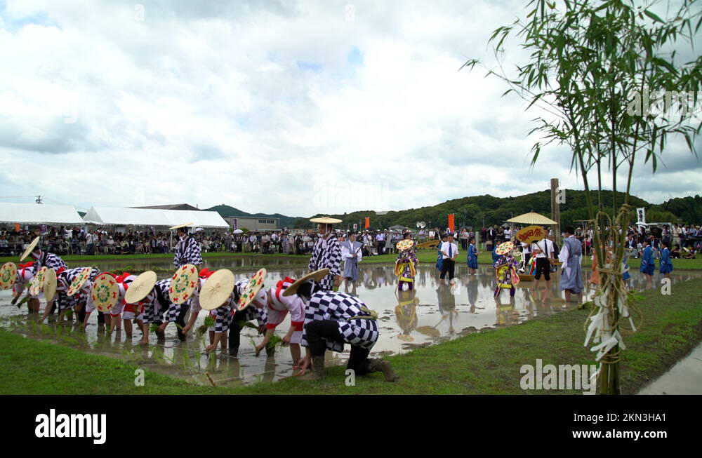 Saotome and Tamata, Shinto Masada festive activities various shots ...