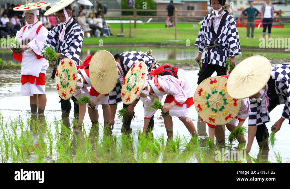 Saotome and Tamata, Shinto Masada festive activities various shots ...
