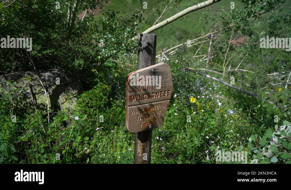 Maroon sign Stock Videos & Footage - HD and 4K Video Clips - Alamy