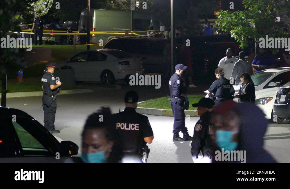 Work gangs Stock Videos & Footage - HD and 4K Video Clips - Alamy