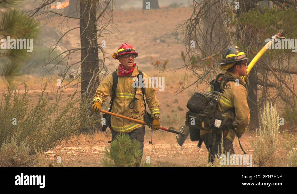 Outofcontrol Stock Videos & Footage - HD and 4K Video Clips - Alamy