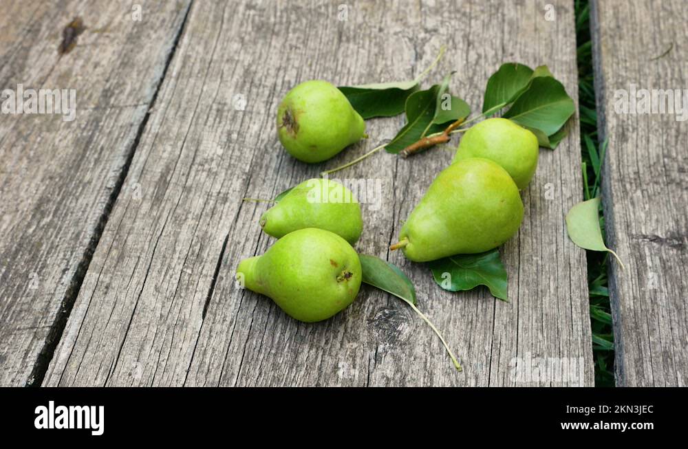Pear tree in container Stock Videos & Footage - HD and 4K Video Clips ...
