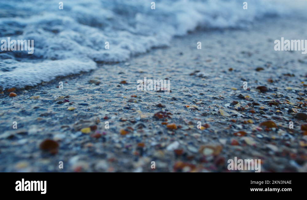 Seashell and sand Stock Videos & Footage - HD and 4K Video Clips - Alamy