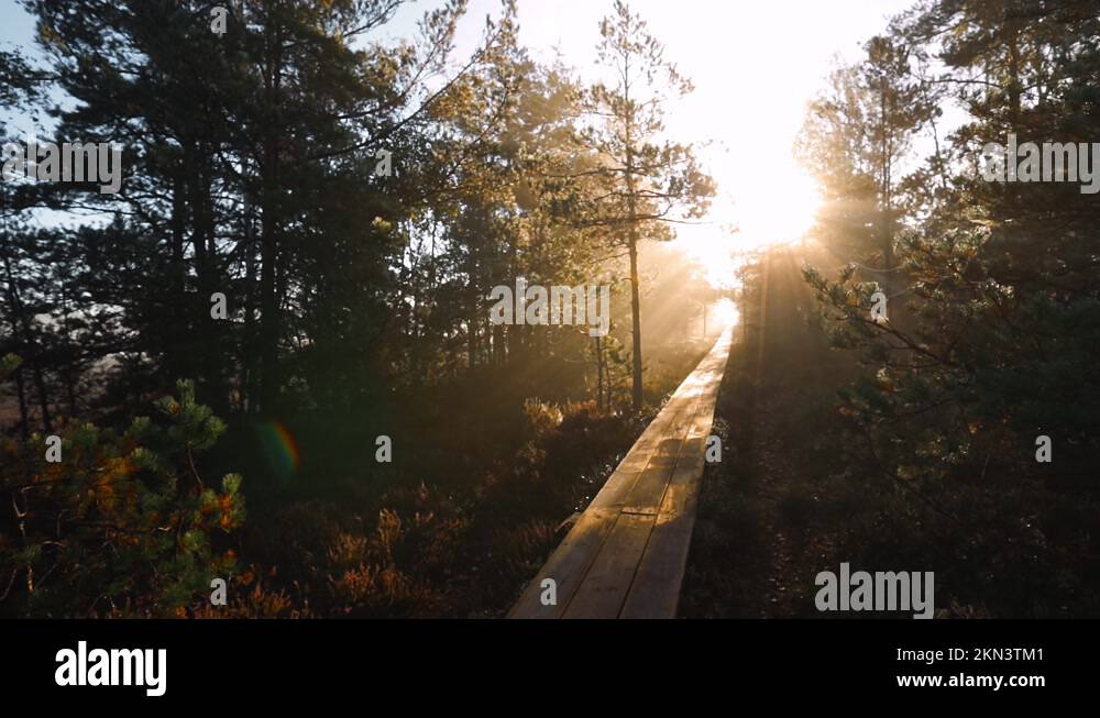 Magical pathway Stock Videos & Footage - HD and 4K Video Clips - Alamy