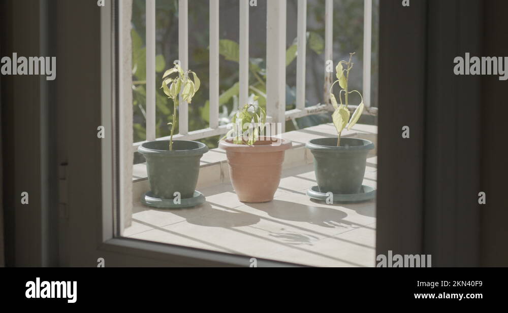 Light and shadow in the balcony Stock Videos & Footage - HD and 4K ...