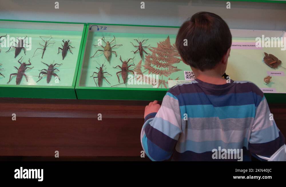 Child and insects Stock Videos & Footage - HD and 4K Video Clips - Alamy