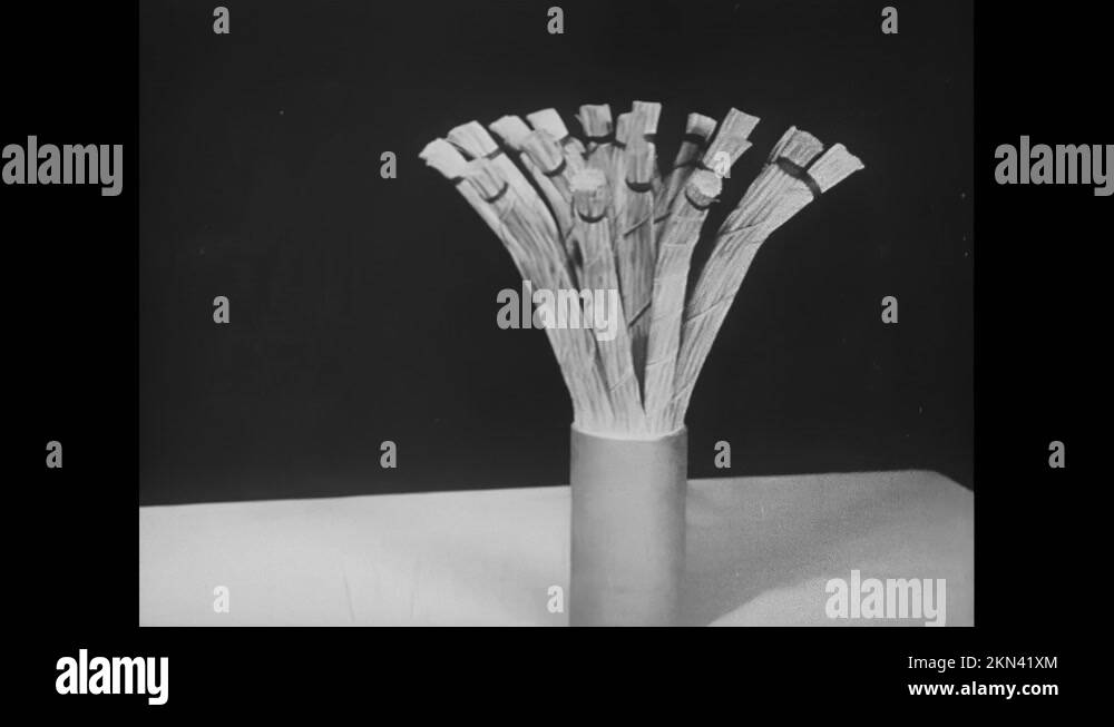 Cable telephone wires Stock Videos & Footage - HD and 4K Video Clips ...