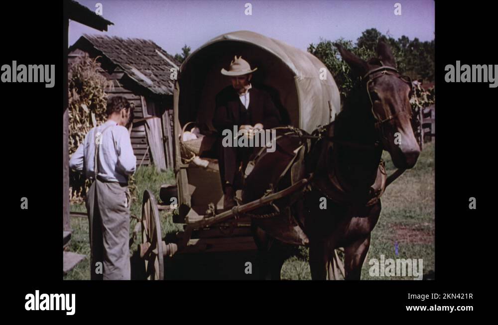 Ground handing Stock Videos & Footage - HD and 4K Video Clips - Alamy