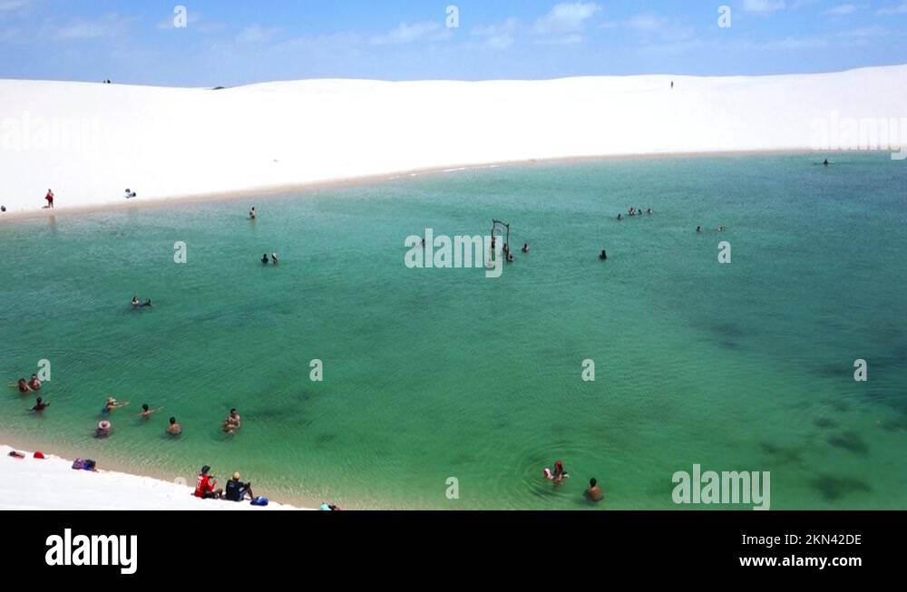 Crowd of people swim in blue water pool top view, aerial overhead shot ...