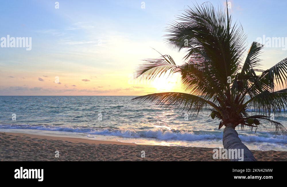 Horizontal trunk Stock Videos & Footage - HD and 4K Video Clips - Alamy