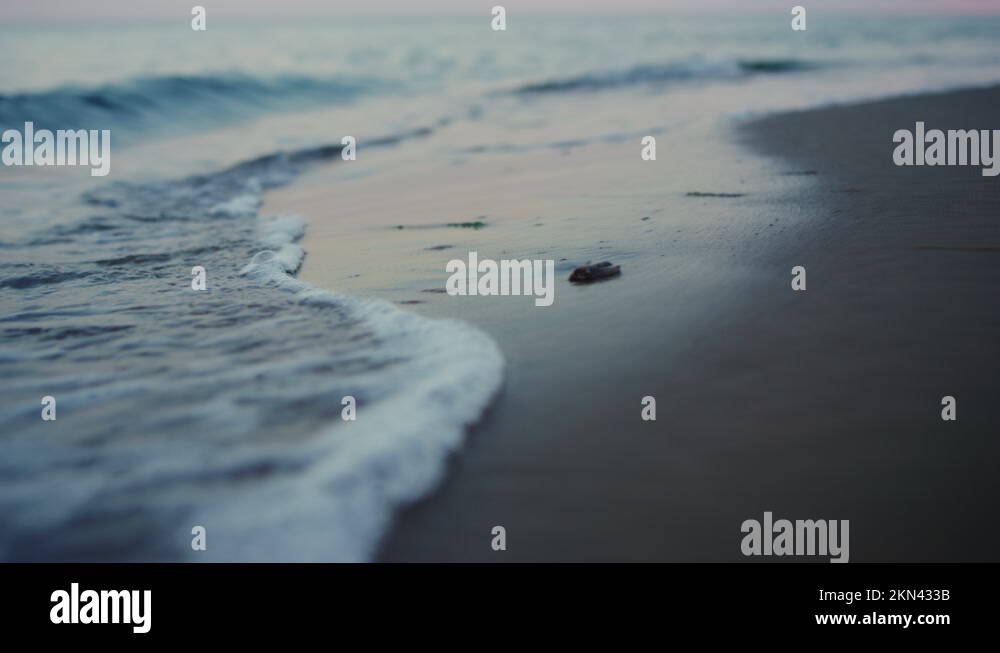 Closeup seashore Stock Videos & Footage - HD and 4K Video Clips - Alamy