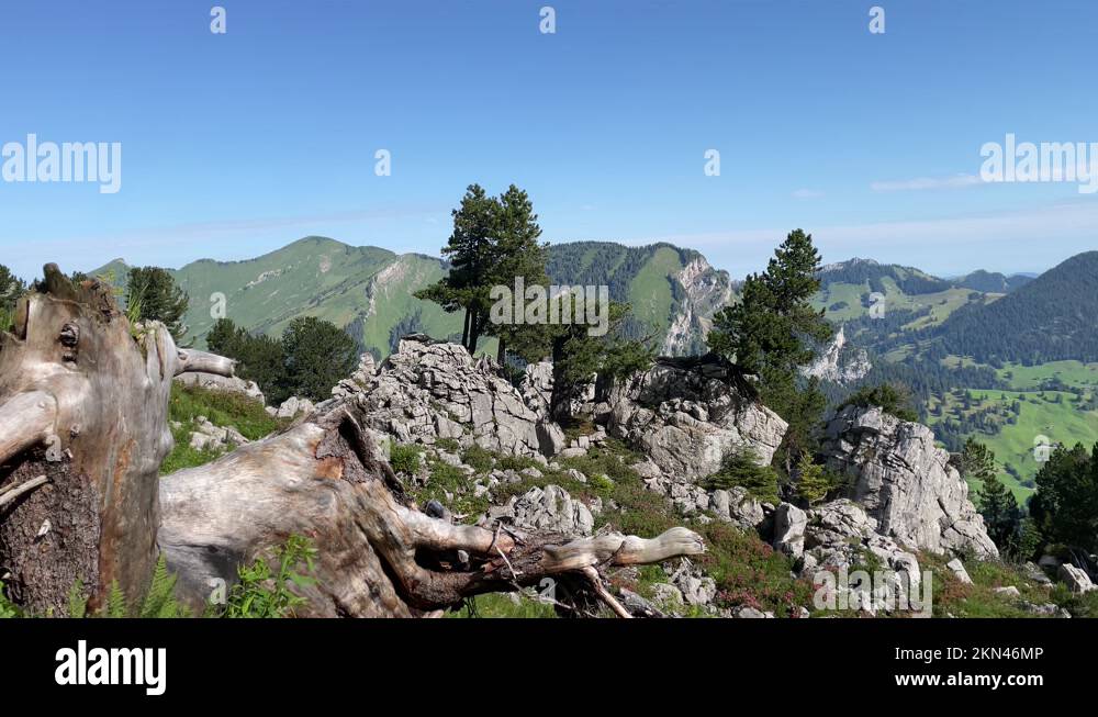 Netstal Stock Videos & Footage - HD and 4K Video Clips - Alamy