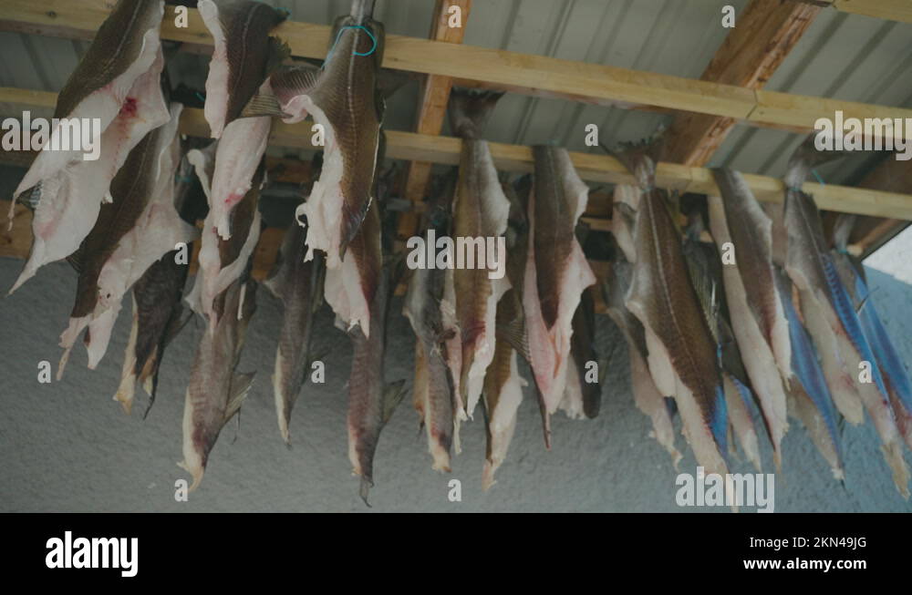 Dried fish making process Stock Videos & Footage - HD and 4K Video ...