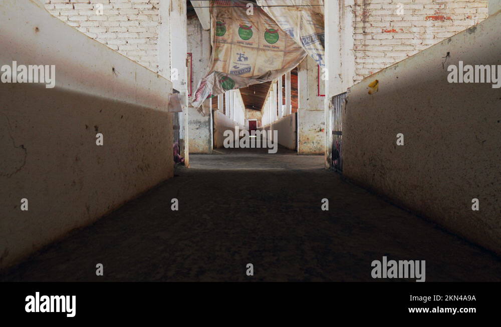 Camera panning inside an empty pig farm; vacant gallery with no trace ...