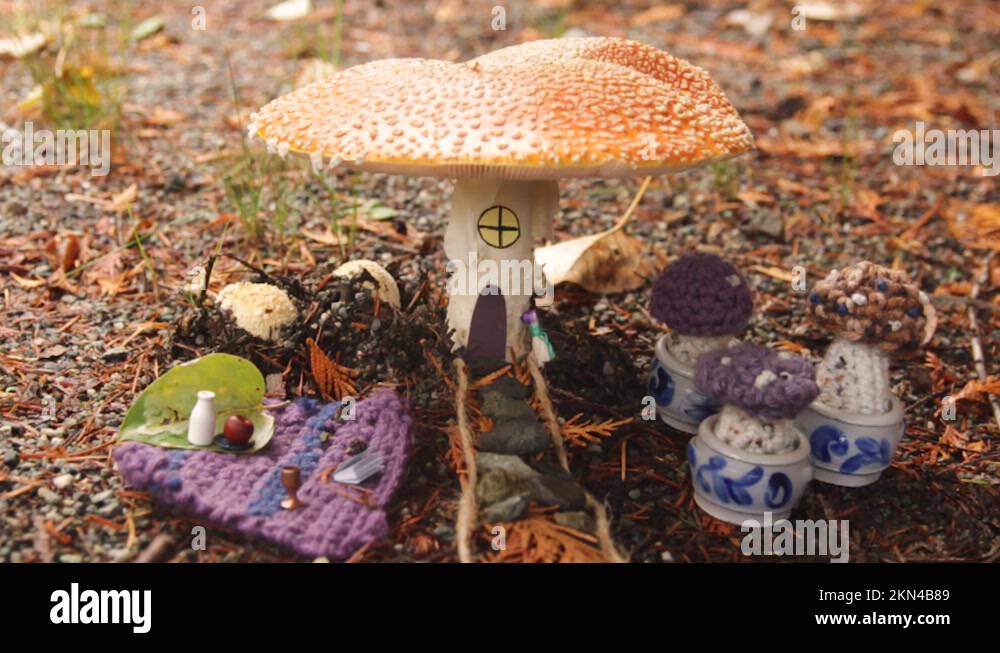 Amanita design Stock Videos & Footage - HD and 4K Video Clips - Alamy