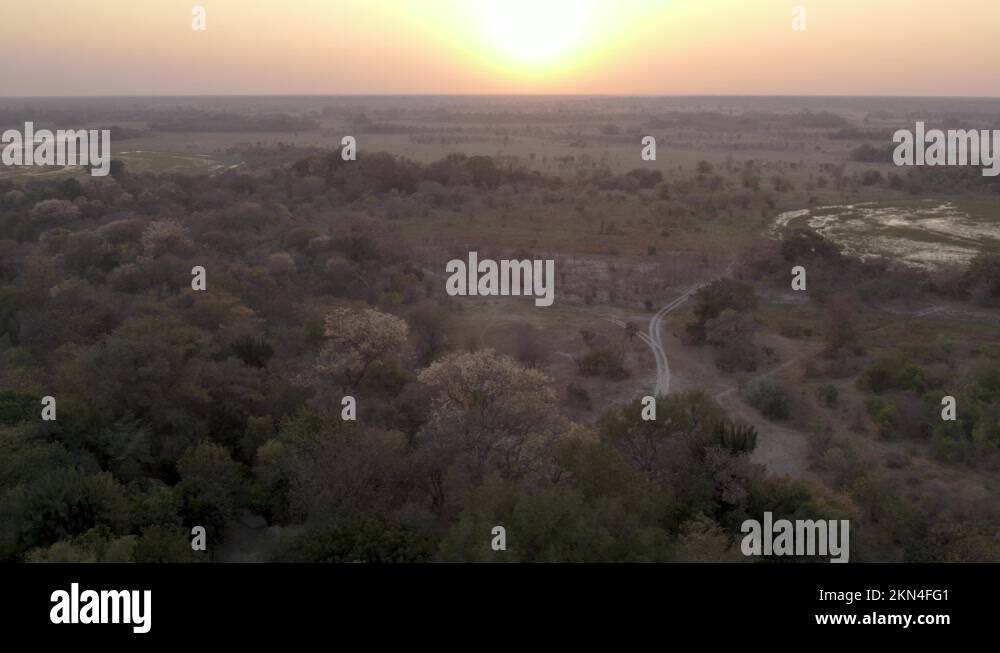 Namibian fauna Stock Videos & Footage - HD and 4K Video Clips - Alamy