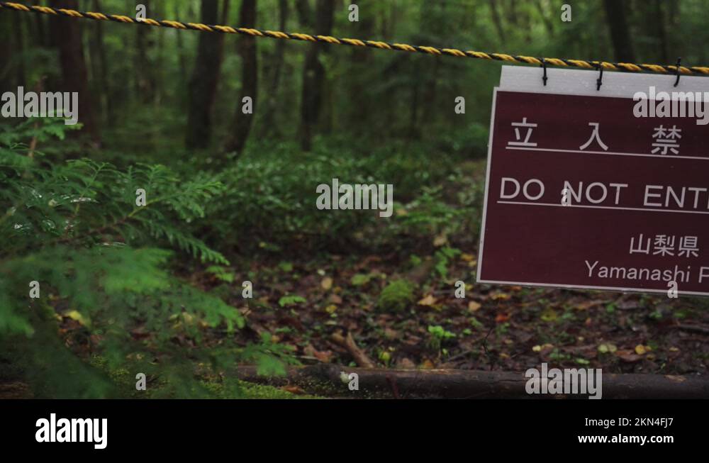 Forbidden Forest, Aokigahara with "Do Not Enter" sign in Yamanashi ...