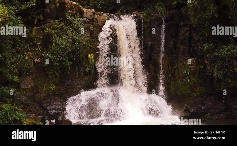 Slow motion Waiau waterfalls in verdant rainforest setting - New ...