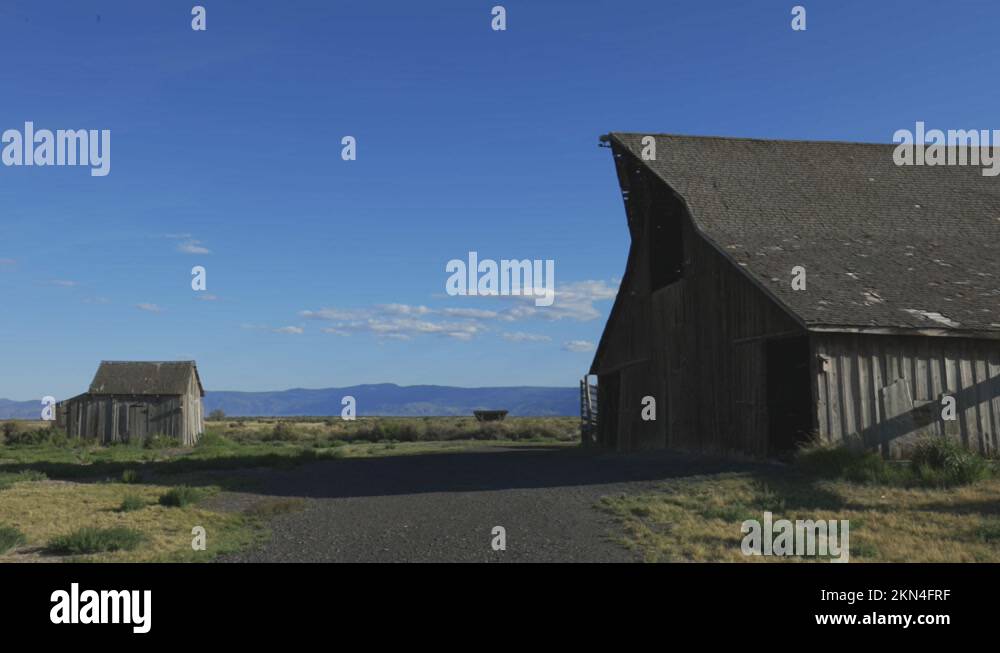 Static footage of a large and a small barn standing still on a blue ...