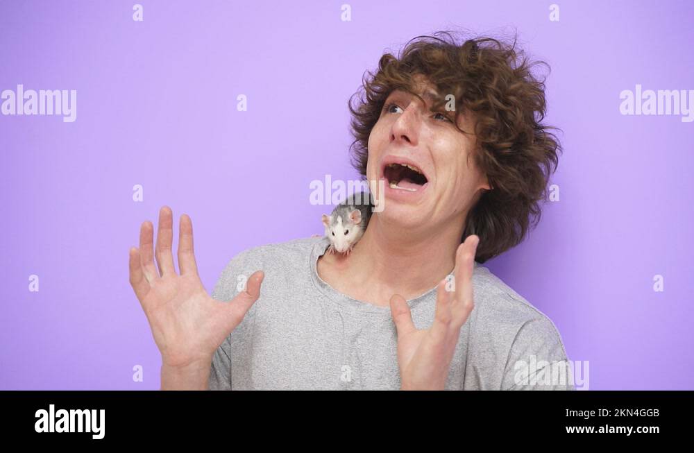 Rodent crying Stock Videos & Footage - HD and 4K Video Clips - Alamy