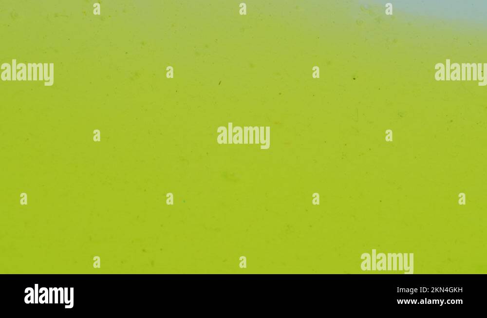 Greasy texture Stock Videos & Footage - HD and 4K Video Clips - Alamy