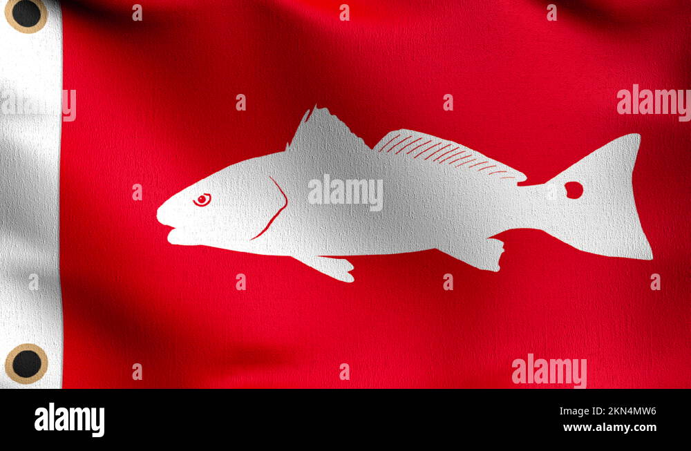 Inshore fish Stock Videos & Footage - HD and 4K Video Clips - Alamy
