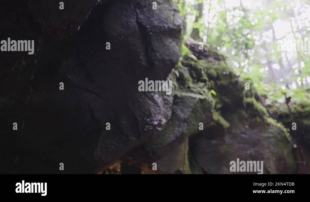 Lava tube caves in Aokigahara Jukai Forest, Japan Stock Video Footage ...