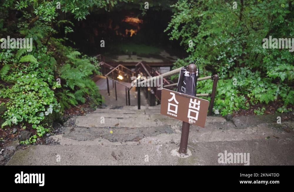 Aokigahara lava caves entrance in the rain, Fuji Japan Stock Video ...