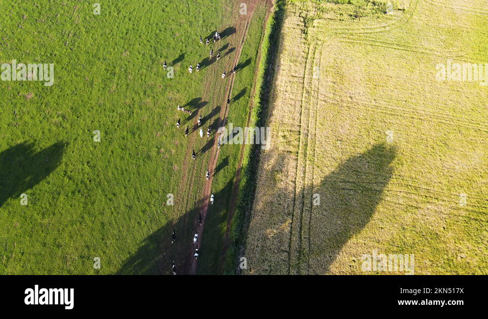 Ariel view rural farm Stock Videos & Footage - HD and 4K Video Clips ...