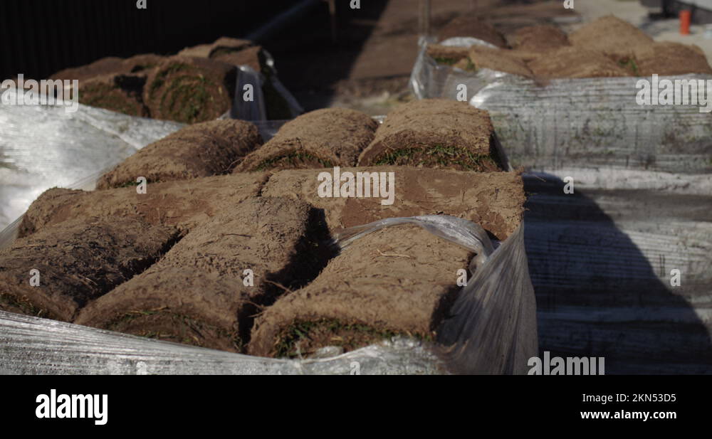 Living in soil Stock Videos & Footage - HD and 4K Video Clips - Alamy