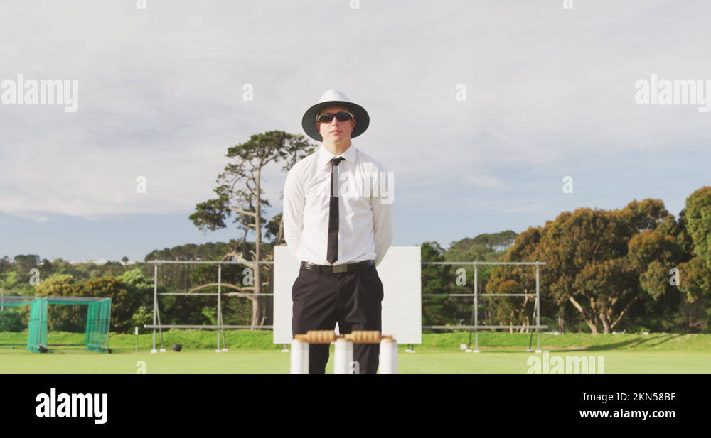 Cricket umpire making signs standing on a cricket pitch Stock Video ...