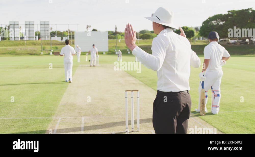 Umpire signalling Stock Videos & Footage - HD and 4K Video Clips - Alamy