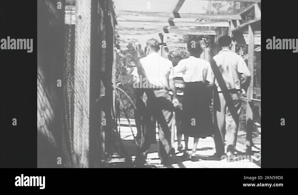 1950s: UNITED STATES: people walk along corridor. Monkeys watch humans ...