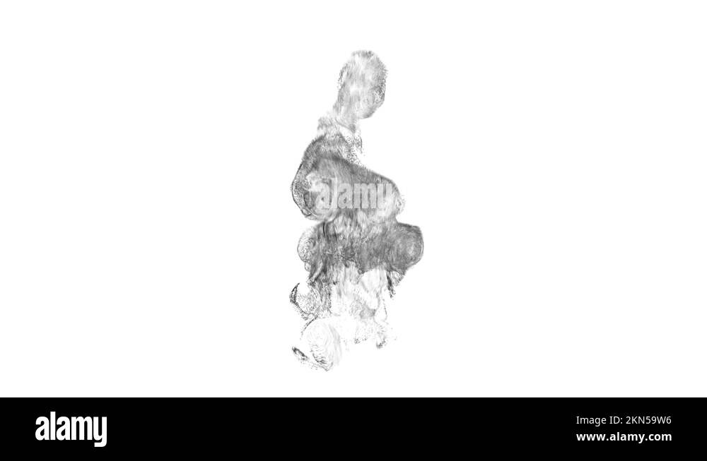 Gray dust particles move turbulence on white Concept art Smoke texture ...