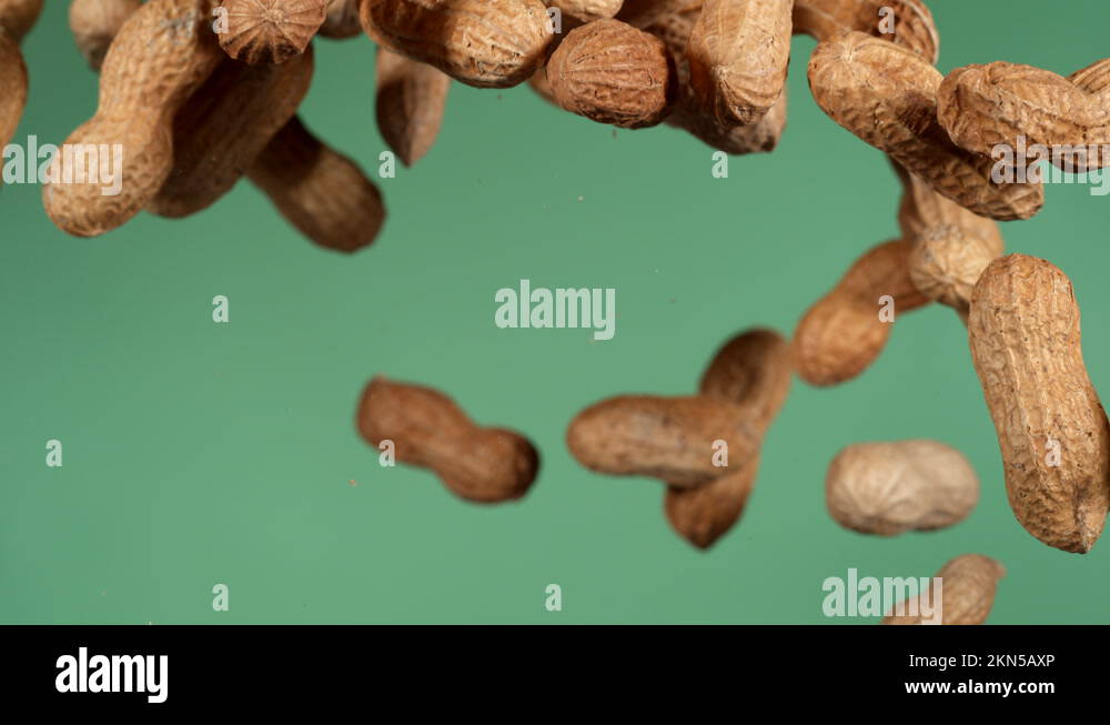 Peanuts flying up in slow motion, green screen. Shot with Phantom Flex ...