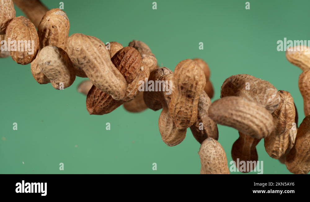 Peanuts flying up in slow motion, green screen. Shot with Phantom Flex ...